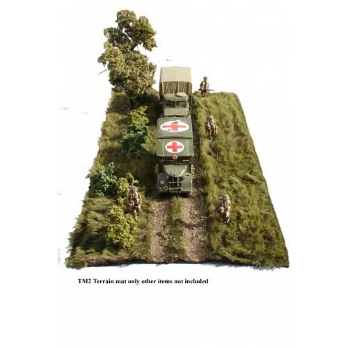 Long grass mat with dirt track--13" x 30"--TWO IN STOCK. - TM02 ...