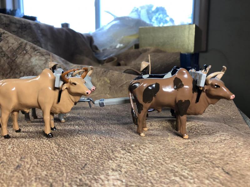 Trophy - Boer War British Navel Artillery Oxen Team - TRO-BWOA - Metal ...